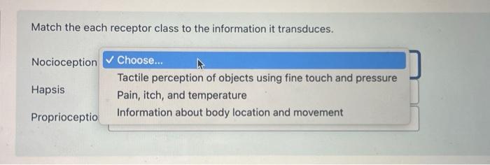 Solved Match the each receptor class to the information it | Chegg.com
