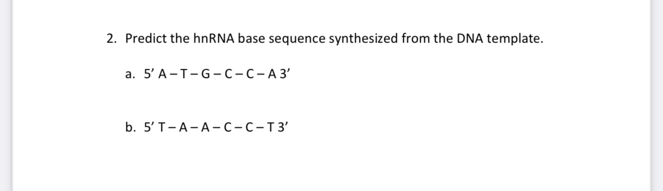 Solved Predict the hnRNA base sequence synthesized from the | Chegg.com