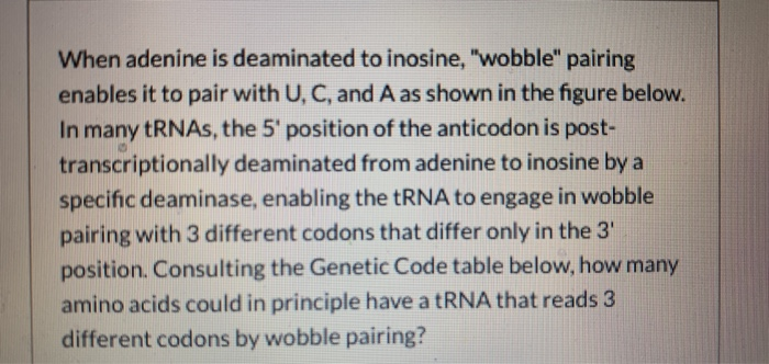 Solved When adenine is deaminated to inosine, "wobble" | Chegg.com