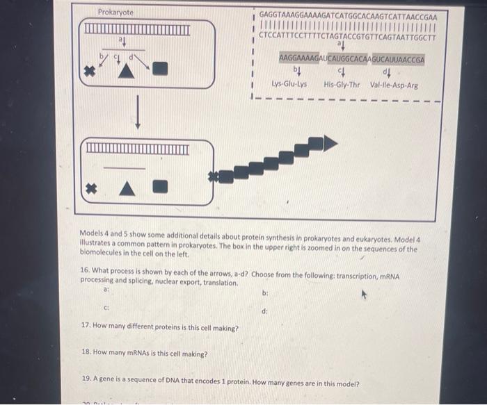 Solved Models 4 and 5 show some additional details about | Chegg.com