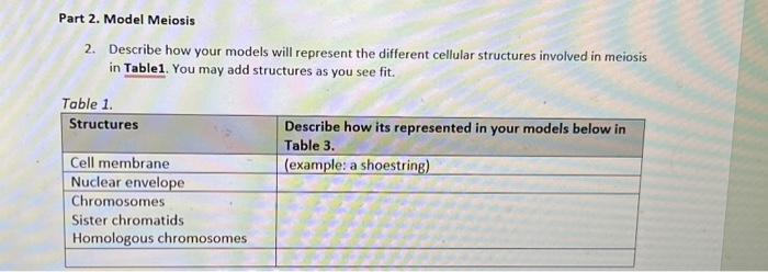 Part 2. Model Meiosis 2. Describe how your models | Chegg.com