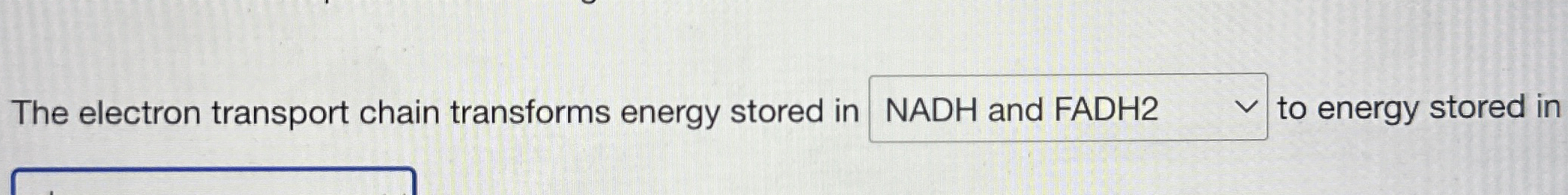 Solved The electron transport chain transforms energy stored | Chegg.com
