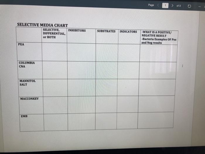 Page 1 of 3 SELECTIVE MEDIA CHART SELECTIVE, | Chegg.com