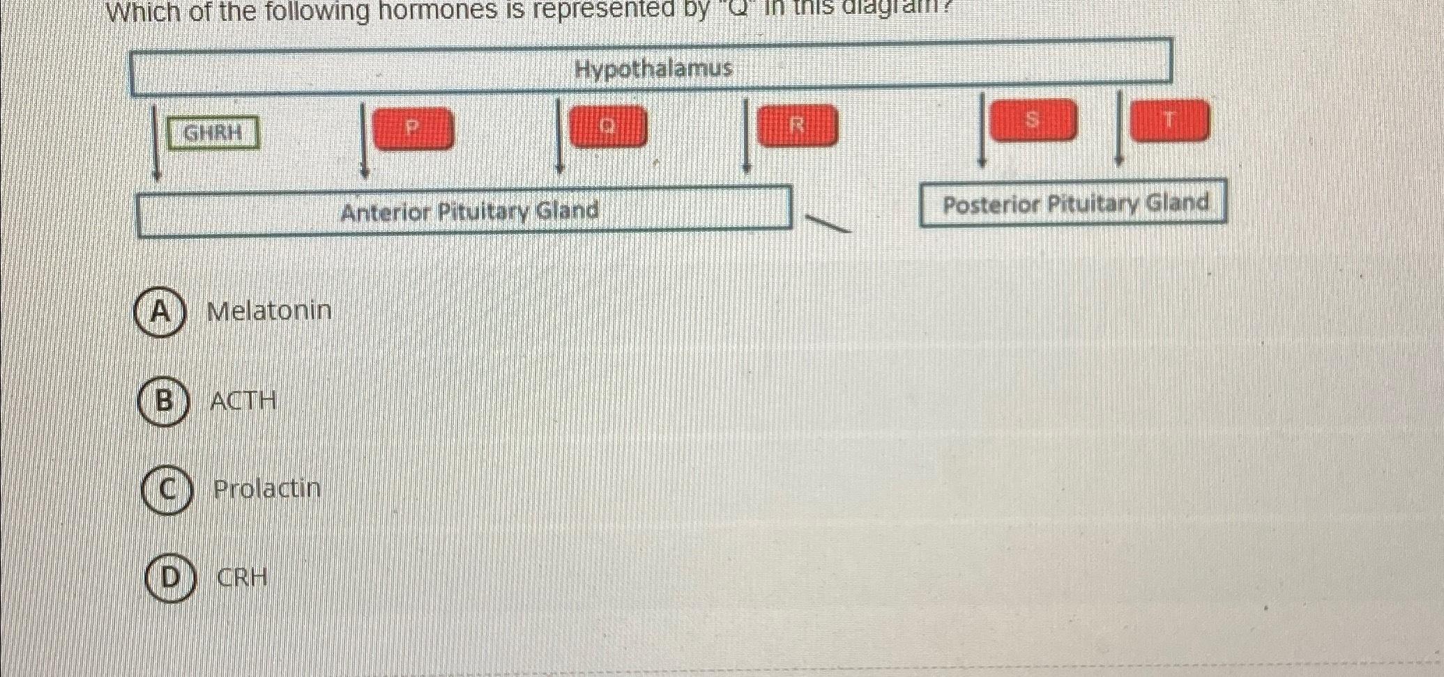 Solved Which of the following hormones is represented by Q | Chegg.com