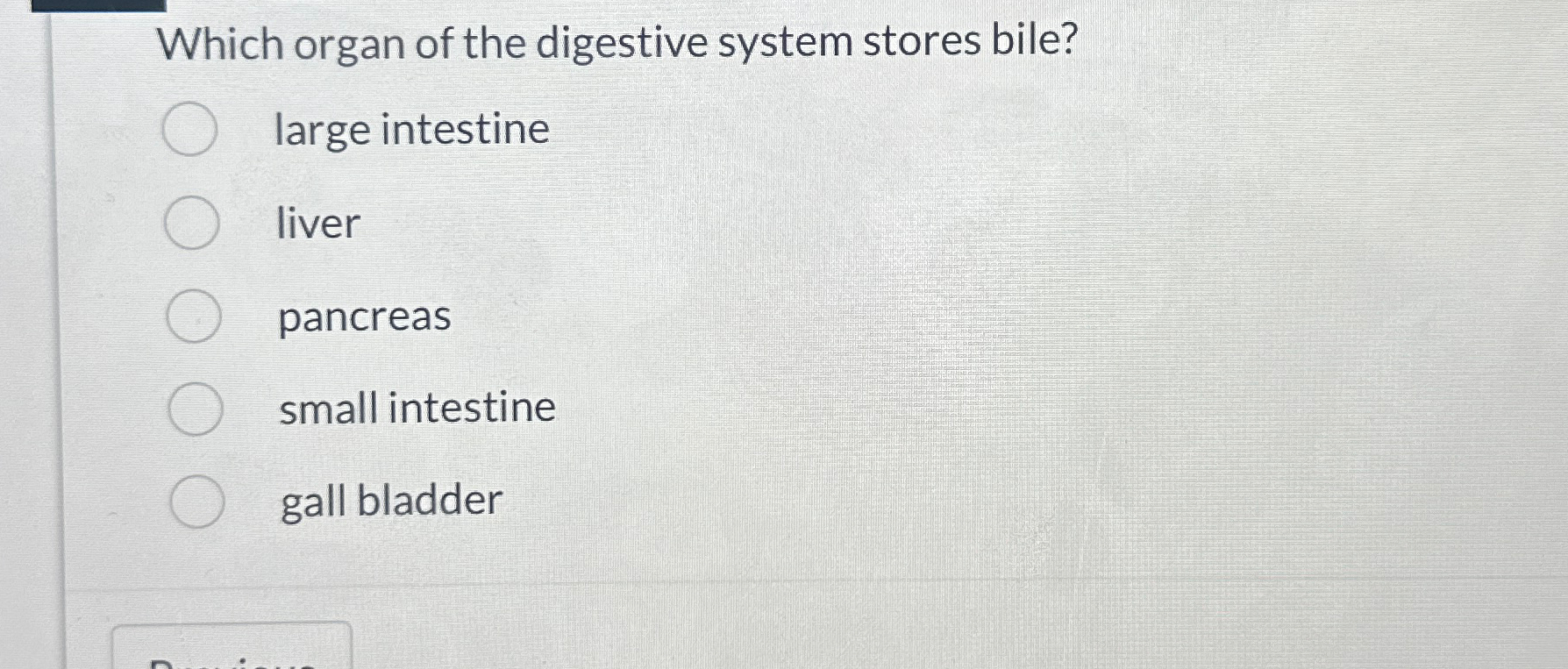 Solved Which organ of the digestive system stores bile?large | Chegg.com