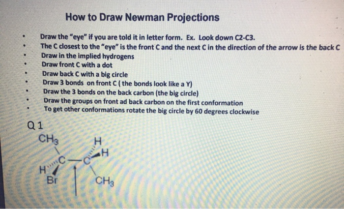 Solved How to Draw Newman Projections Draw the "eye" if you | Chegg.com