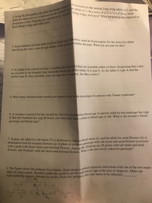 Solved 2. In the fly Drosophila, the allele for dumpy wings | Chegg.com