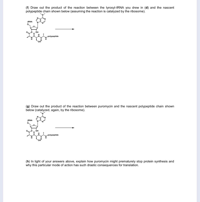 Solved 7. Puromycin (below) is a well-studied antibiotic | Chegg.com