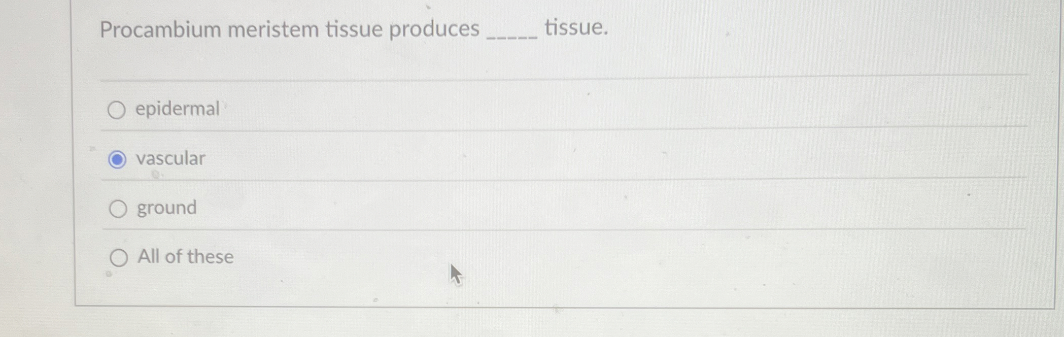 Solved Procambium meristem tissue | Chegg.com