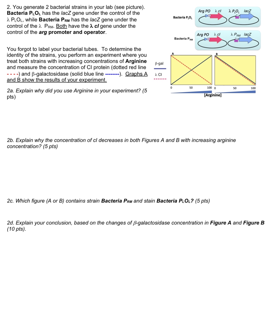 Solved You generate 2 ﻿bacterial strains in your lab (see | Chegg.com