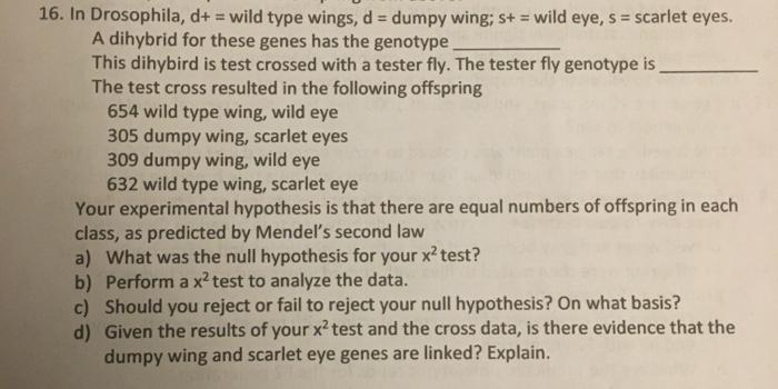 Solved 16. In Drosophila, d+ = wild type wings, d = dumpy | Chegg.com