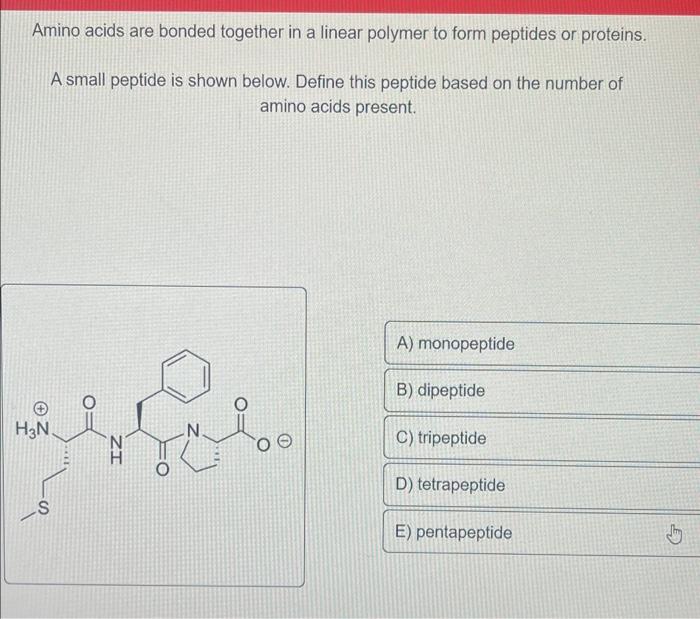 Solved Amino acids are bonded together in a linear polymer | Chegg.com