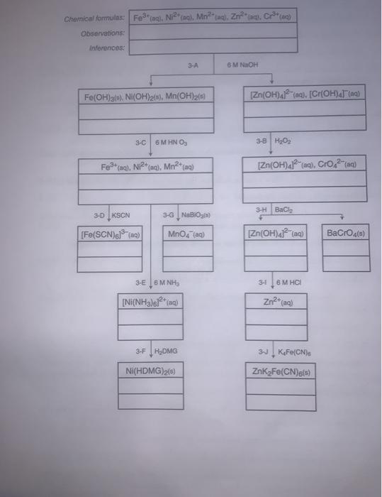 Solved fill out group 1 and 2 unknown flow chart. inferences | Chegg.com