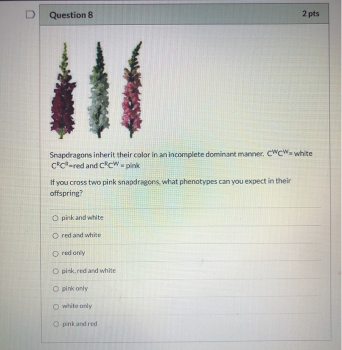 Solved Question 2 2 pts In fruit flies, red eyes are | Chegg.com