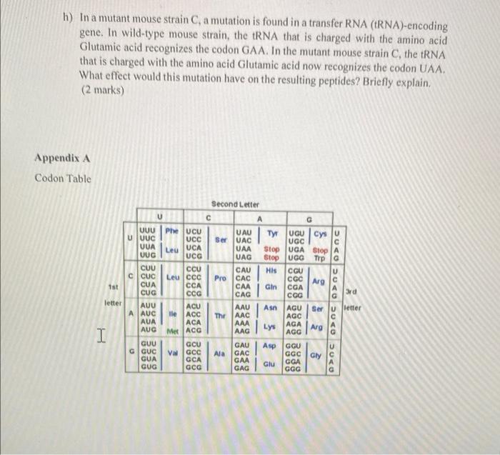 9. Below is a DNA sequence of part of a hypothetical | Chegg.com
