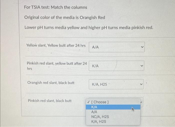 Solved For TSIA test: Match the columns Original color of | Chegg.com