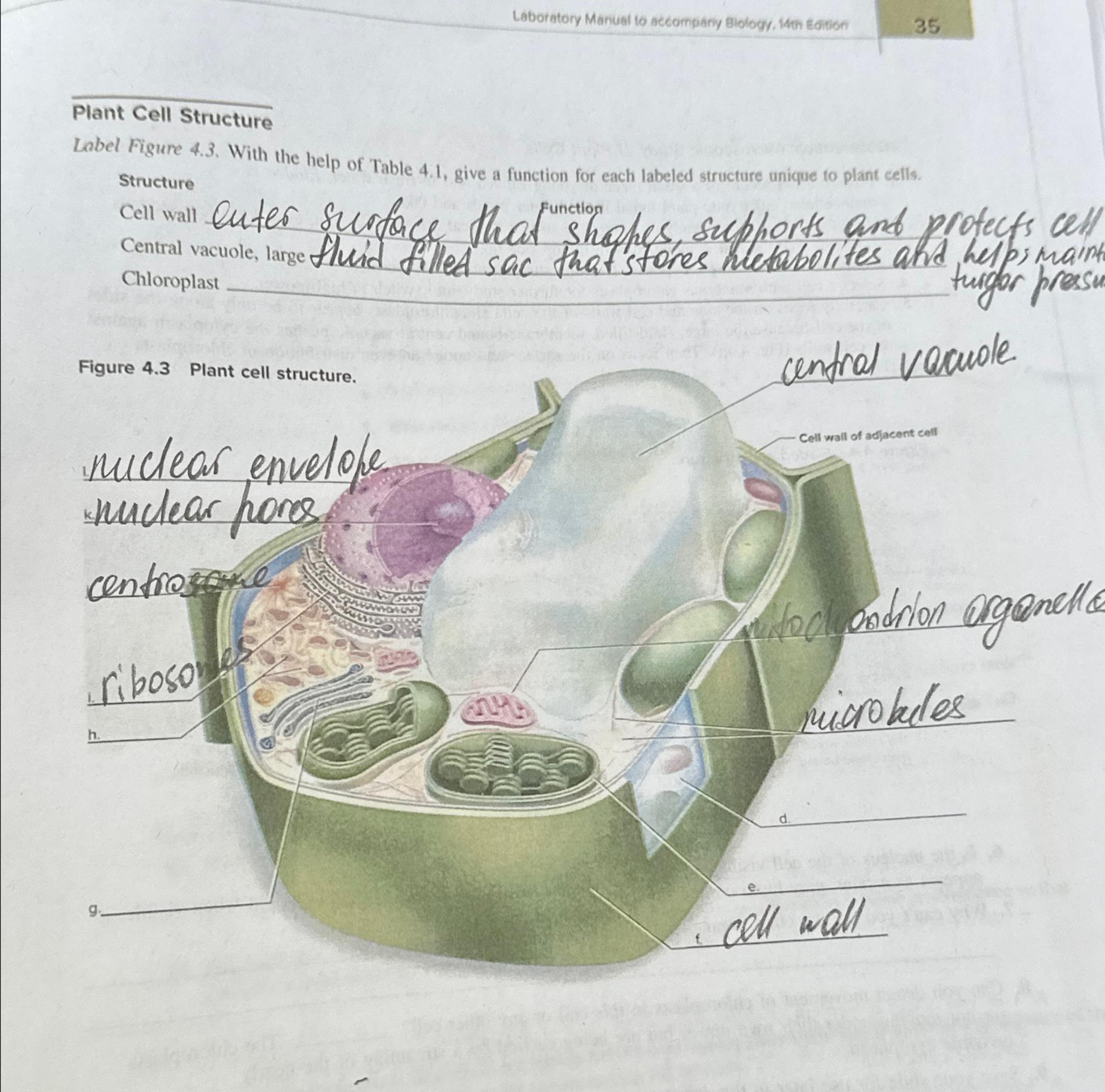 Solved Laboratory Manual to accompary Biology. 14th | Chegg.com