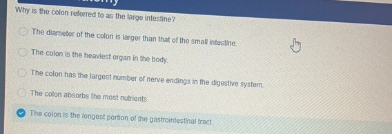 Solved Why is the colon referred to as the large | Chegg.com