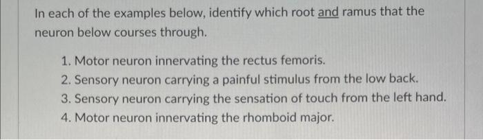 Solved In each of the examples below, identify which root | Chegg.com
