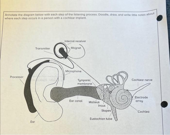 Solved Annotate the diagram below with each step of the | Chegg.com