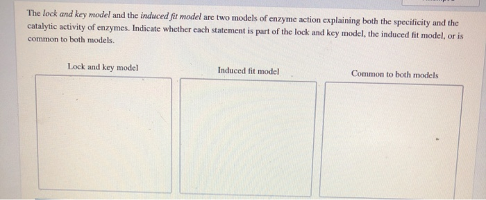Solved The lock and key model and the induced fit model are | Chegg.com