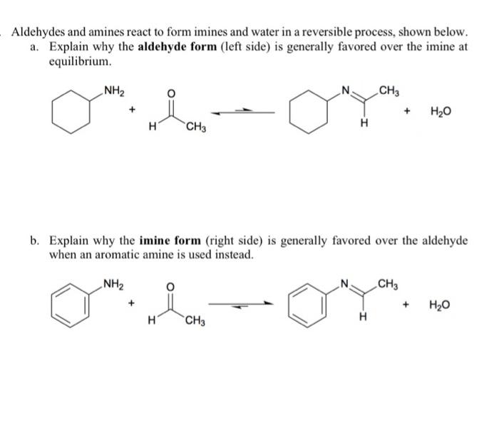 Solved Aldehydes and amines react to form imines and water | Chegg.com