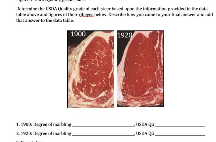 Relationship Between Marbling Maturity And Carcass