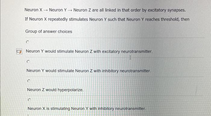 Solved Neuron X→ Neuron Y→ Neuron Z are all linked in that | Chegg.com