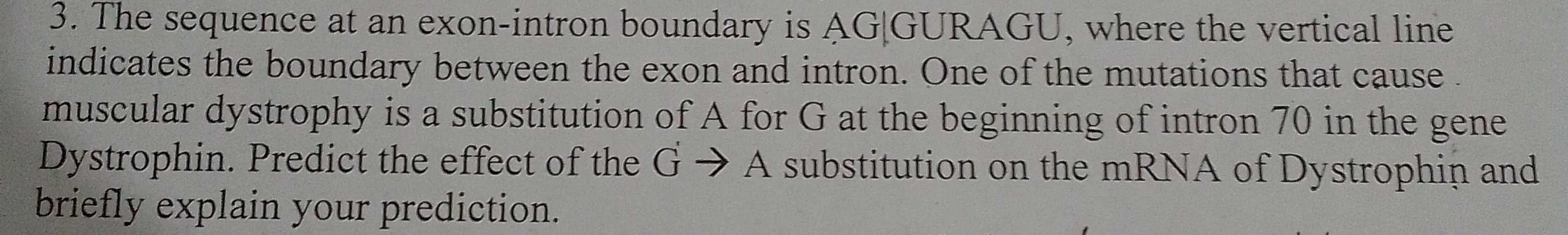 Solved The sequence at an exon-intron boundary is AG|GURAGU, | Chegg.com