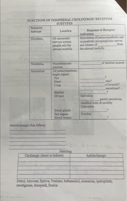 Solved FUNCTIONS OF PERIPHERAL CHOLINERGIC RECEPTOR SUBTYPES | Chegg.com