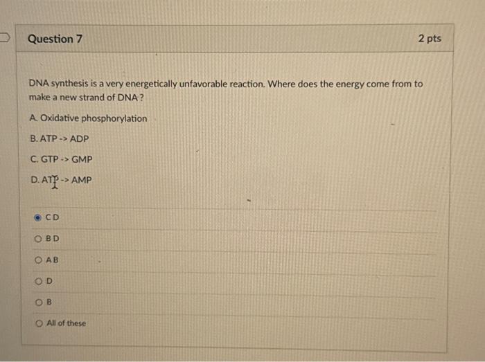 Solved DNA synthesis is a very energetically unfavorable | Chegg.com