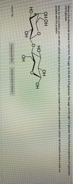 Solved Below is the disaccharide lactose in chair form. The | Chegg.com