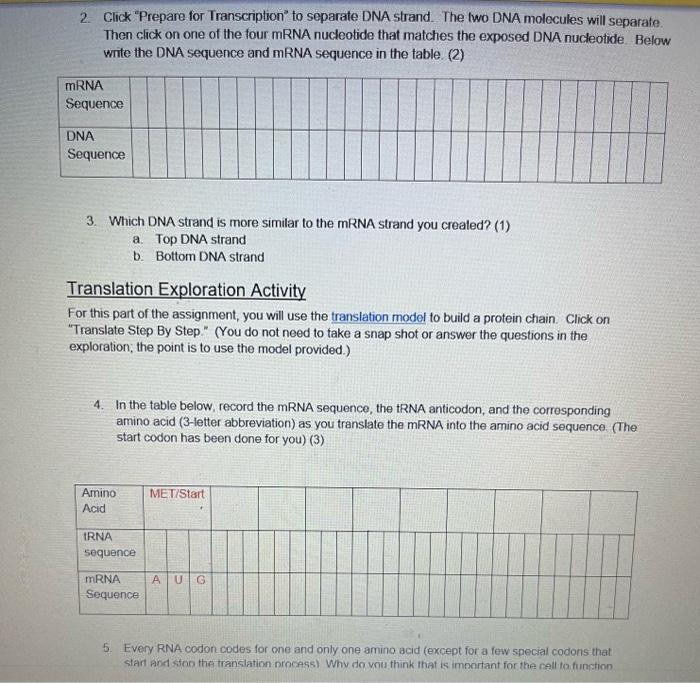 2. Click "Prepare for Transcription" to separate DNA | Chegg.com