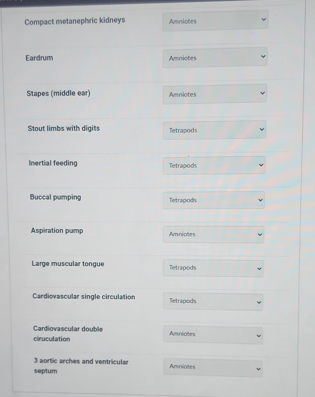 Solved Match each derived trait to its appropriate lineage | Chegg.com