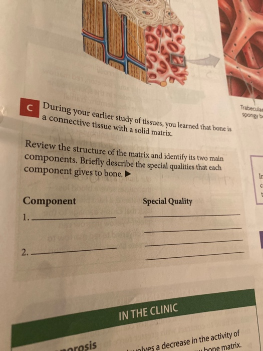 Solved review the structure of the matrix and identify its | Chegg.com