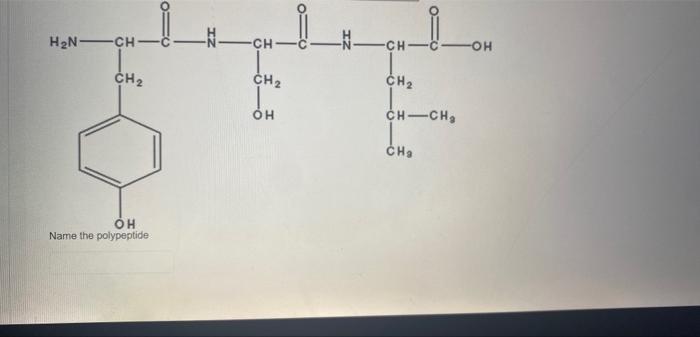 Solved Name the polypeptideMatch the structure Tyrosine with | Chegg.com