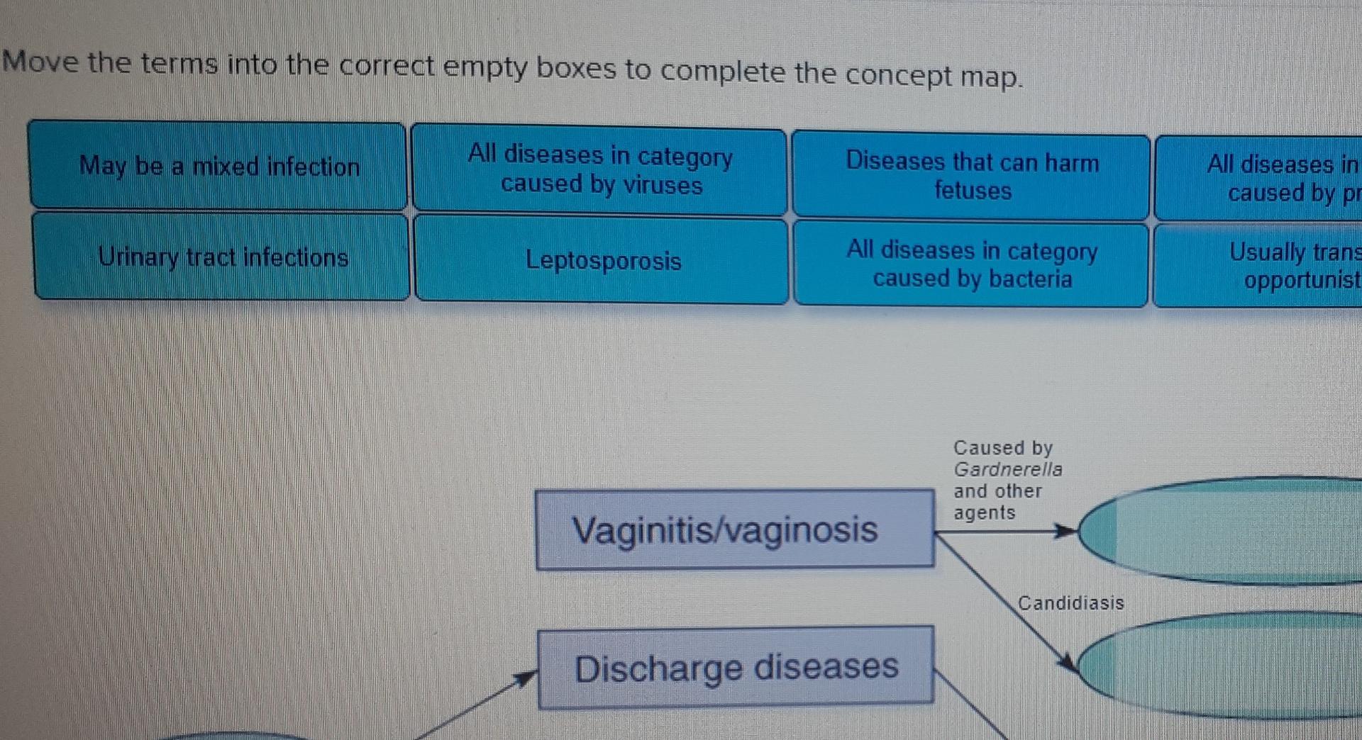 Move the terms into the correct empty boxes to | Chegg.com