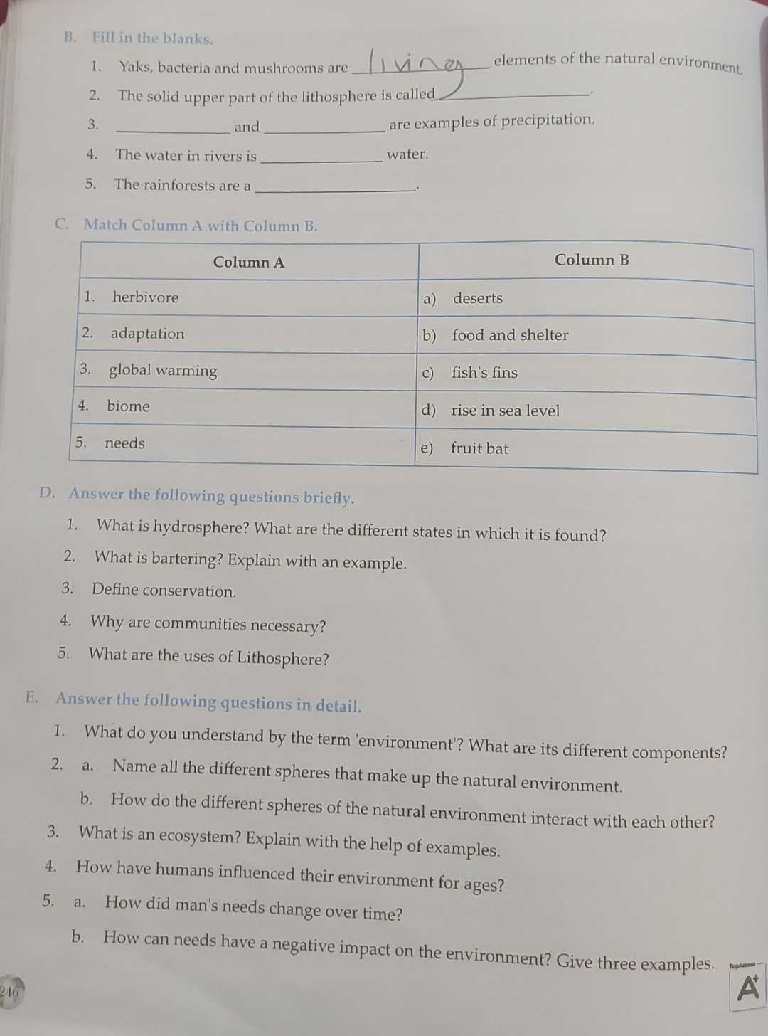 Solved B. ﻿Fill in the blanks.Yaks, bacteria and mushrooms | Chegg.com