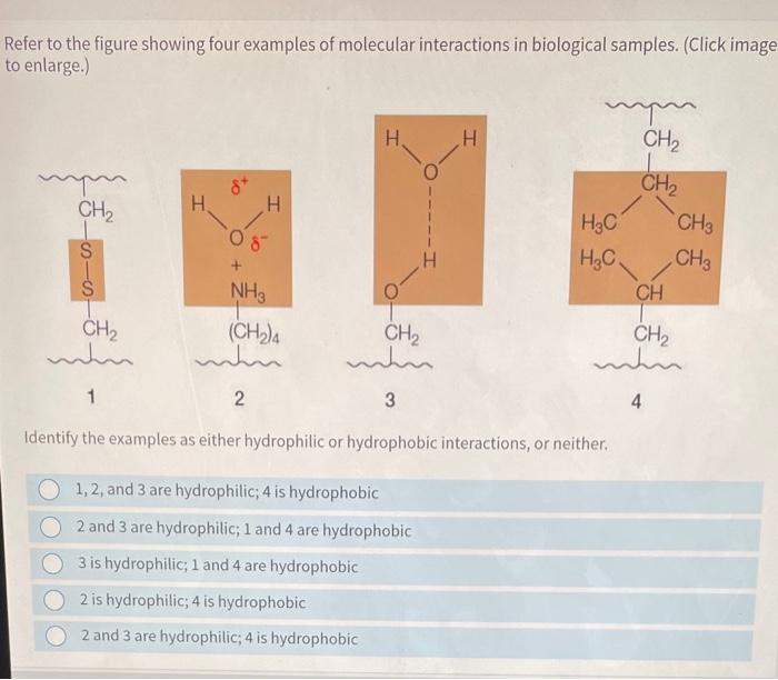 Hydrophilic Examples