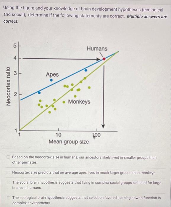 Solved Using the figure and your knowledge of brain | Chegg.com