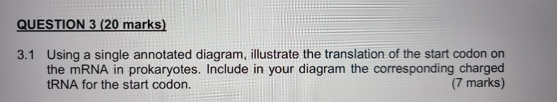 Solved 3.1 Using a single annotated diagram, illustrate the | Chegg.com
