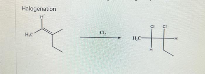 Solved Halogenation | Chegg.com