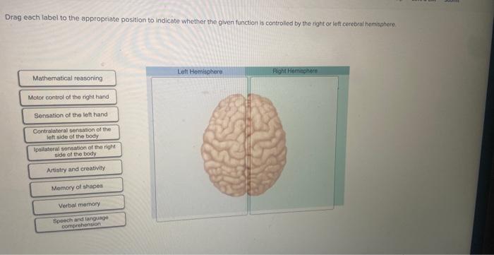 Solved Drag each label to the appropriate position to | Chegg.com