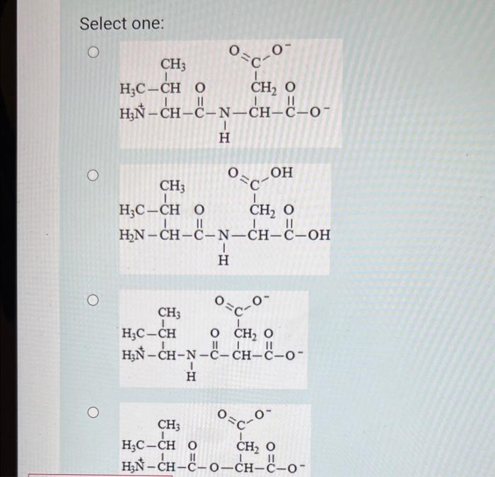 Solved The dipeptide formed from linking the two amino acids | Chegg.com