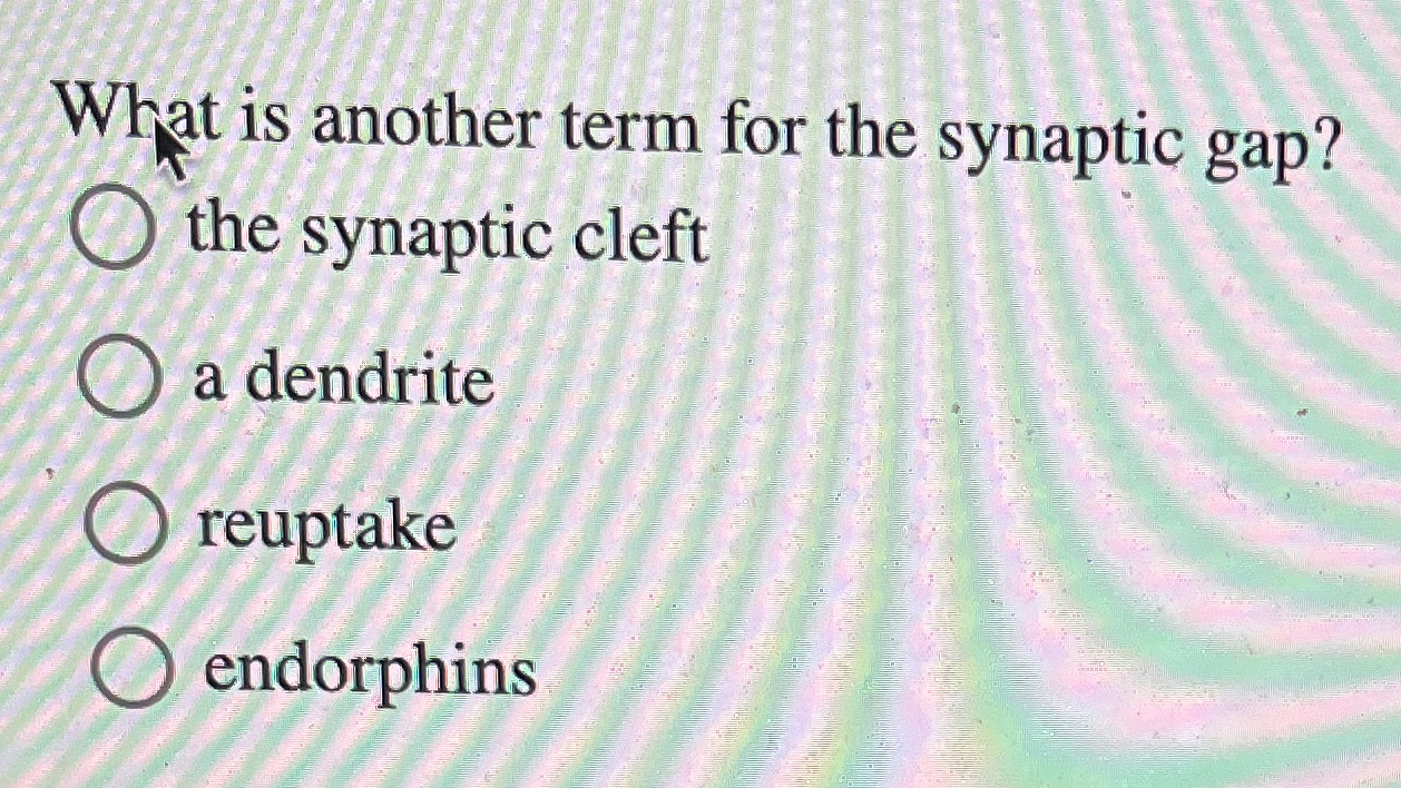 Solved What is another term for the synaptic gap?the | Chegg.com