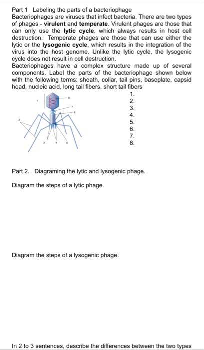 Solved Part 1 Labeling the parts of a bacteriophage | Chegg.com