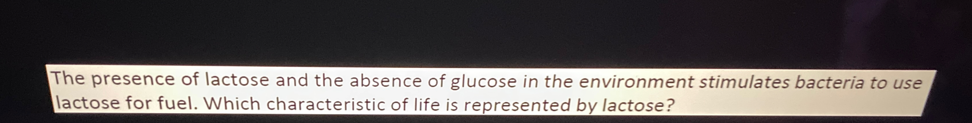 Solved The presence of lactose and the absence of glucose in | Chegg.com
