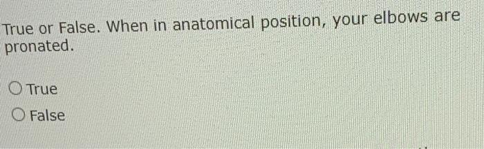 Solved True or False. When in anatomical position, your | Chegg.com