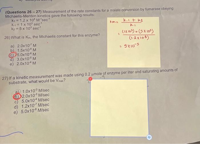 Solved (Questions 26−27 ) Measurement of the rate constants | Chegg.com