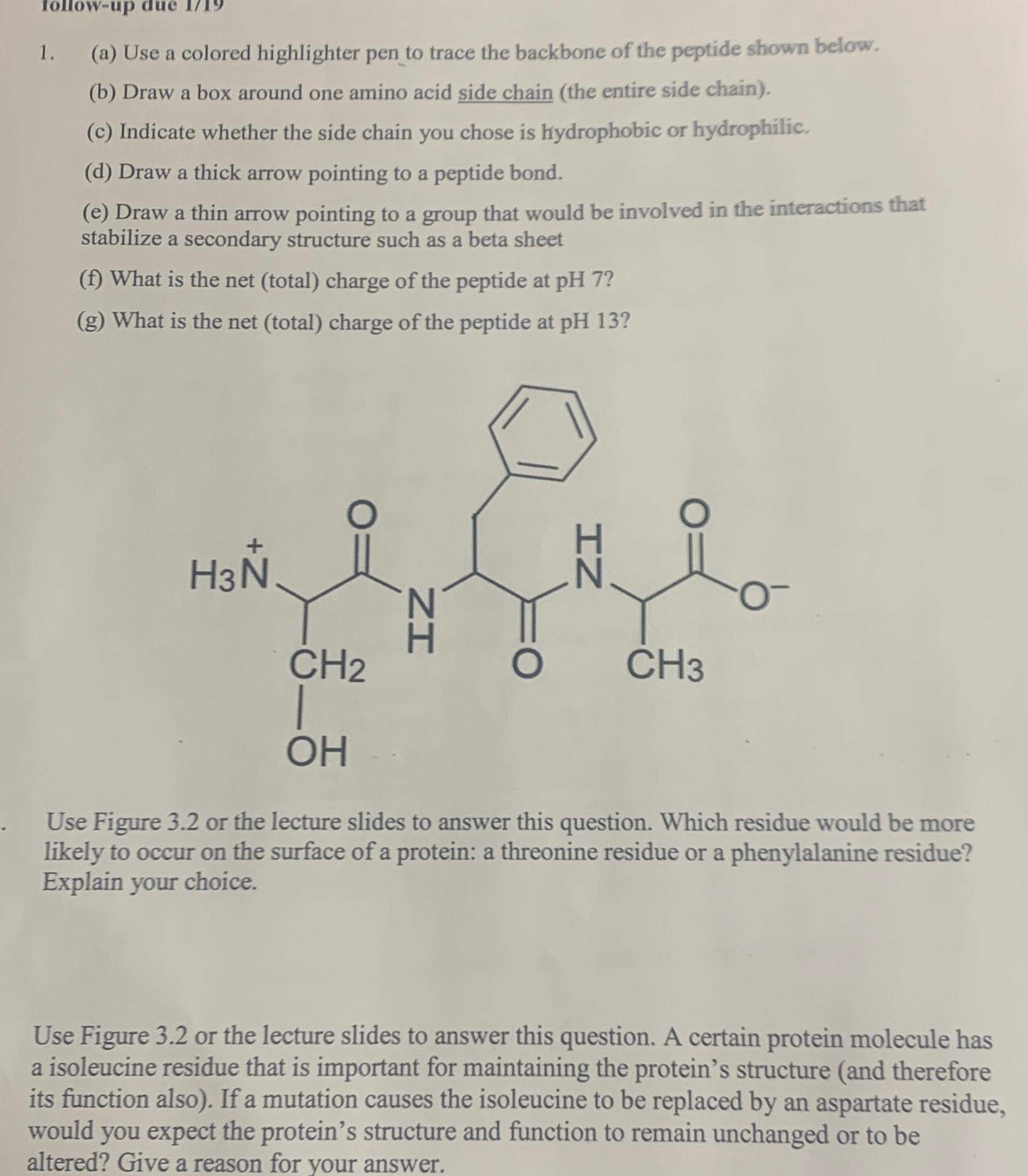 Solved (a) ﻿Use a colored highlighter pen to trace the | Chegg.com